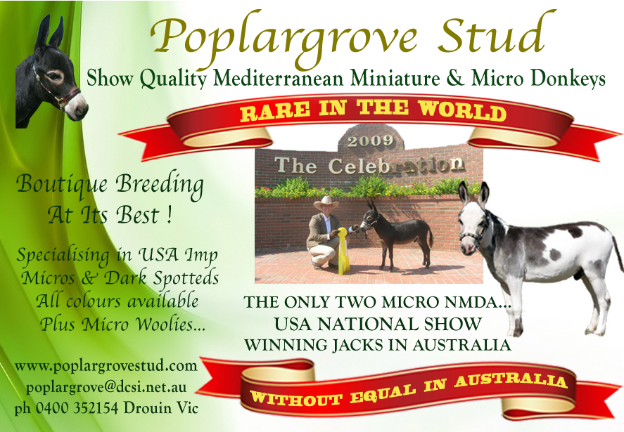 Poplargrove Stud Breeders of Miniature and Micro Donkeys